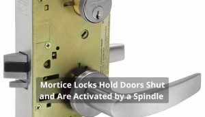 Mortise Lock vs Rim Lock | Which One Should You Choose